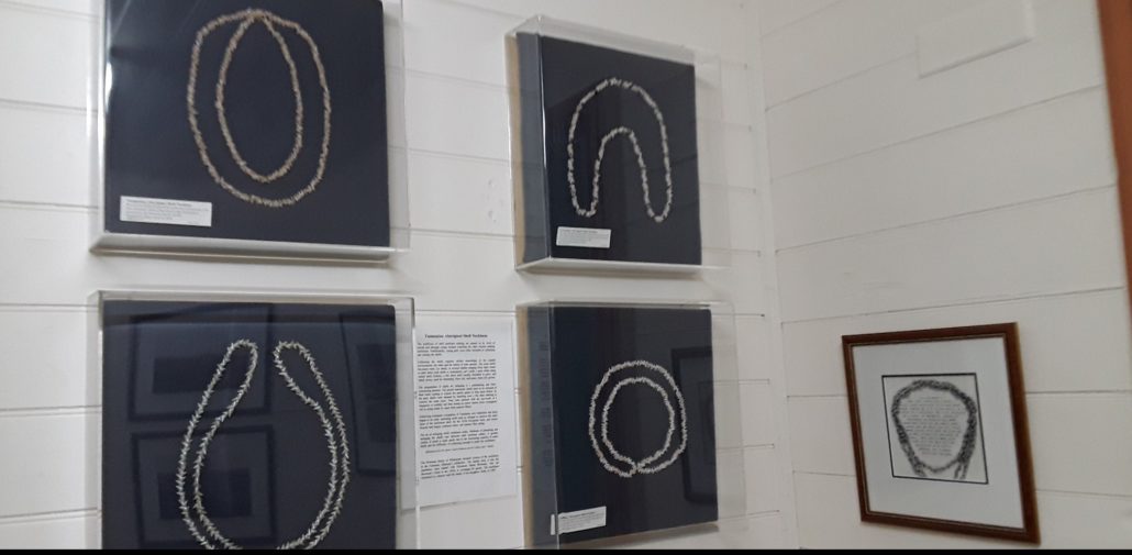 The Collection – Furneaux Museum